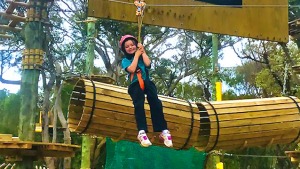 Challenges – Next Level Monkey Business!